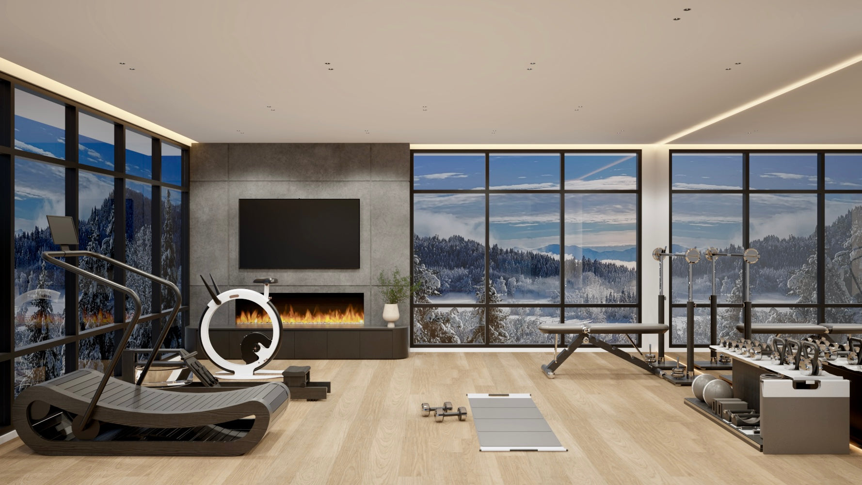 Luxury Home Gym in a Sleek Aspen Retreat – Cycling Bears